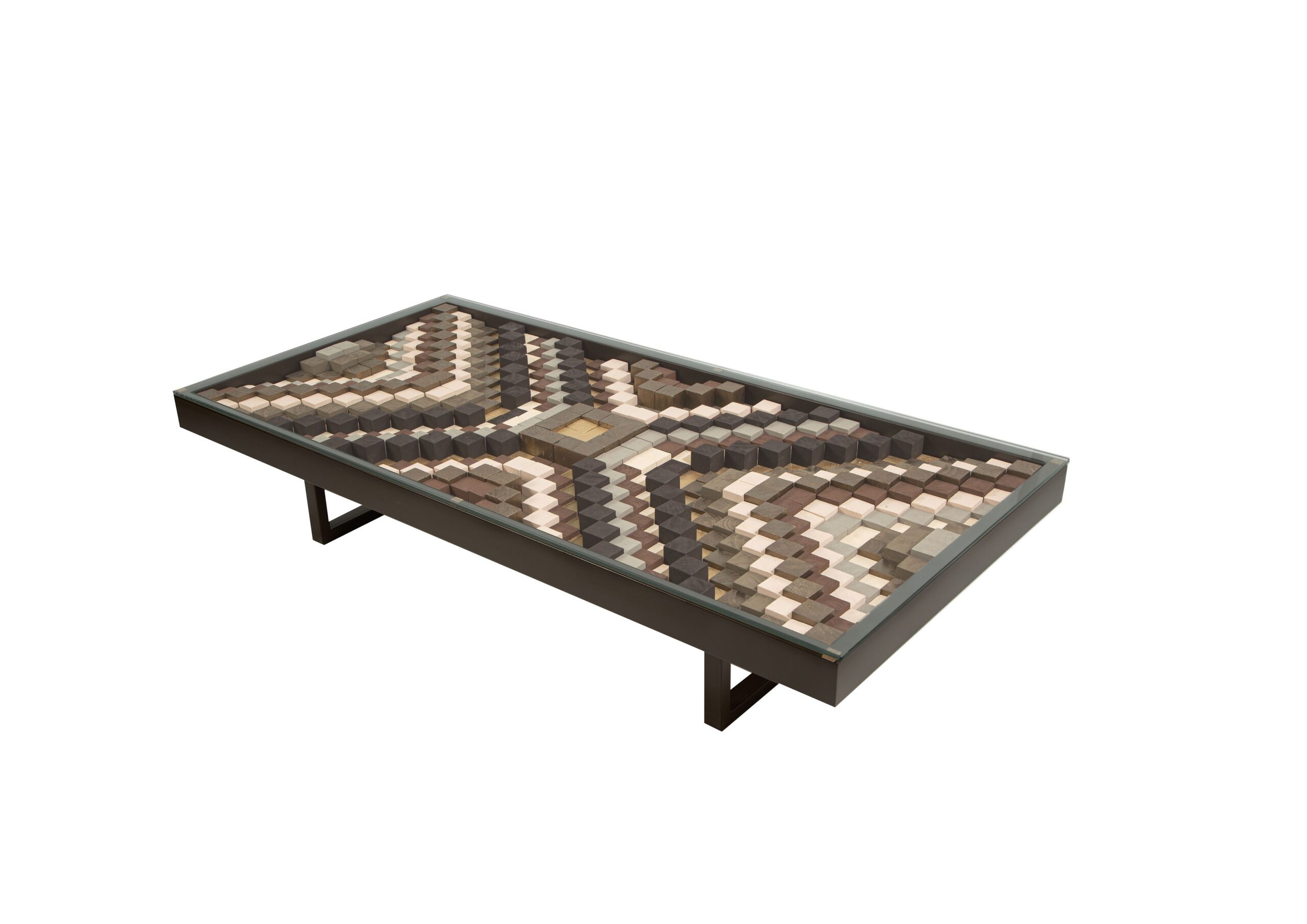 Earth Matrix Coffee Table